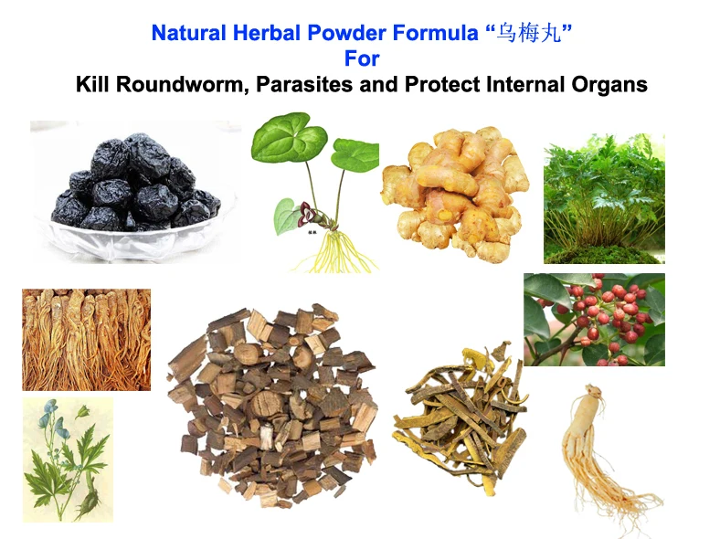 Natural Herbal Powder Formula 'Wu Mei Wan' For Kill Roundworm ...