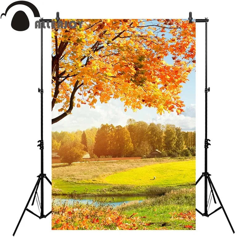 Allenjoy Fondo de fotografía de otoño para recién nacido, telón de ...