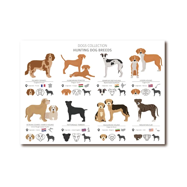 Dog Breeds Poster High Resolution