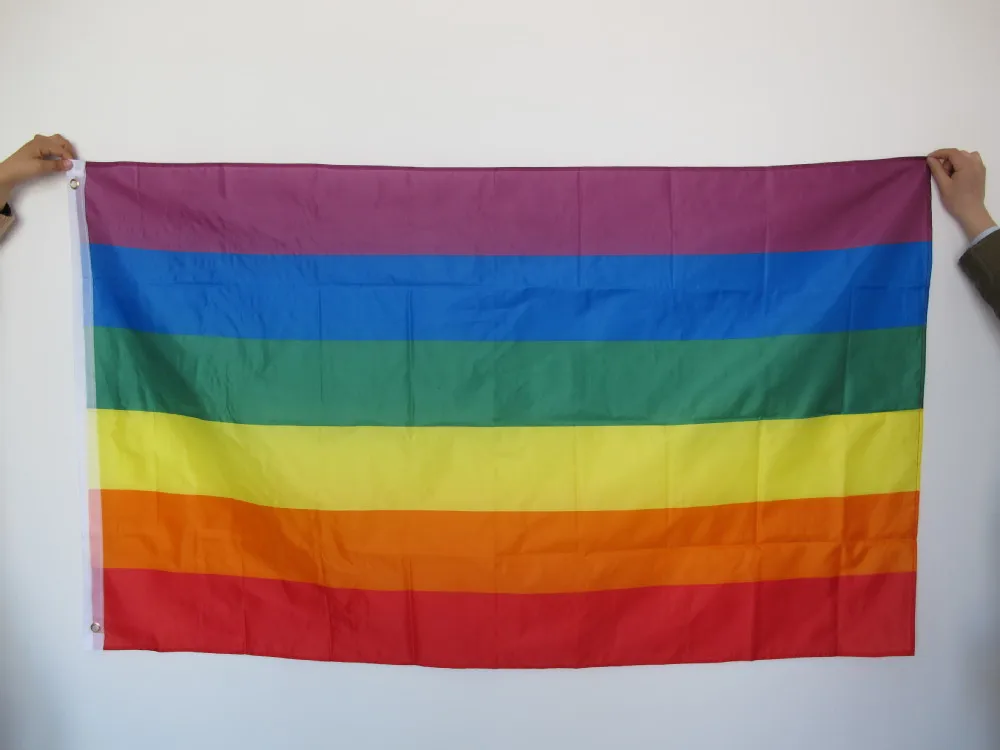Why are there six colors in the gay pride flag - colormserl