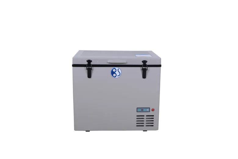 Russian Federation Free Shipping Portable freezer AC/DC compressor ...