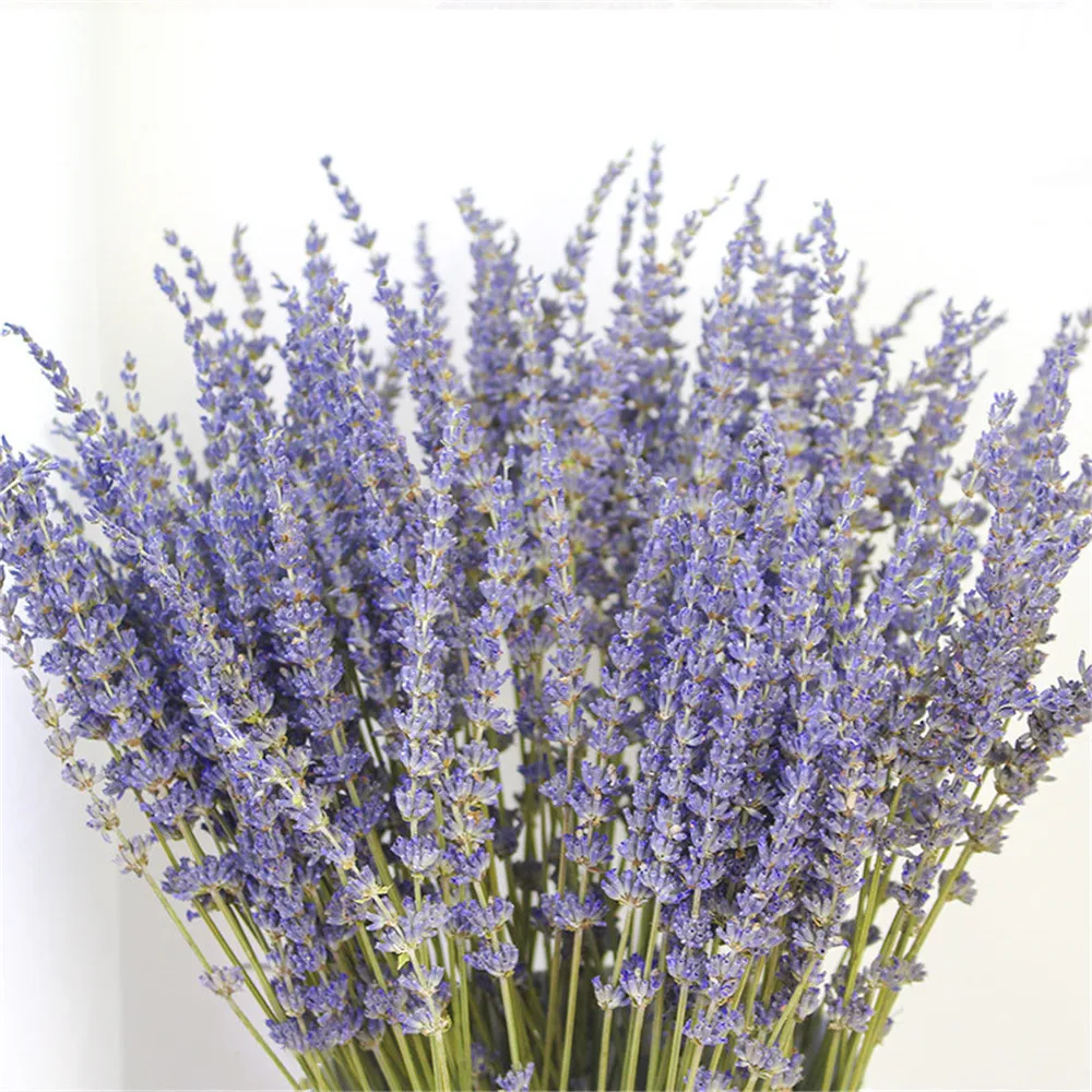 100 g/pacote natural lavanda flor bundles secas lavanda flores buquê de ...