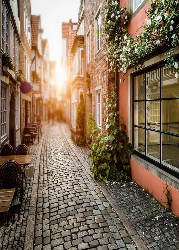 Sunset Light In City Pathway Photography Backdrops Old Brick Road Photo ...