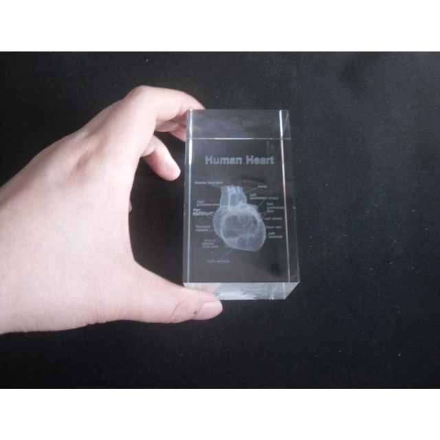 Cool Human Heart Pictures