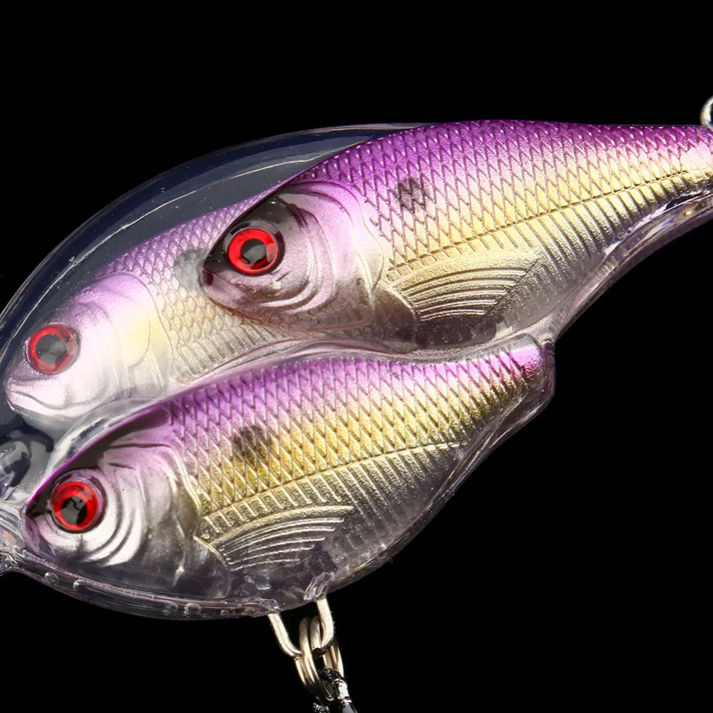 Live Bait Fish For Sale Wholesale at Zelma Harvey blog