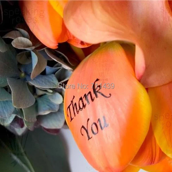 Speaking Roses Printer Food