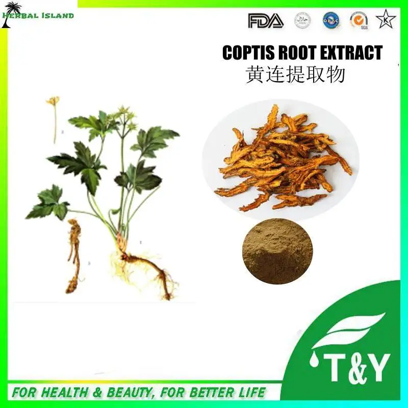 Natural Goldthread Extract/Rhizome Coptis Root Extract(Huang Lian) 200g ...