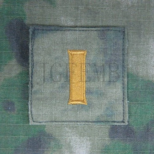 A TACS FG design US ARMY O 1 2LT Second Lieutenant Rank Military ...