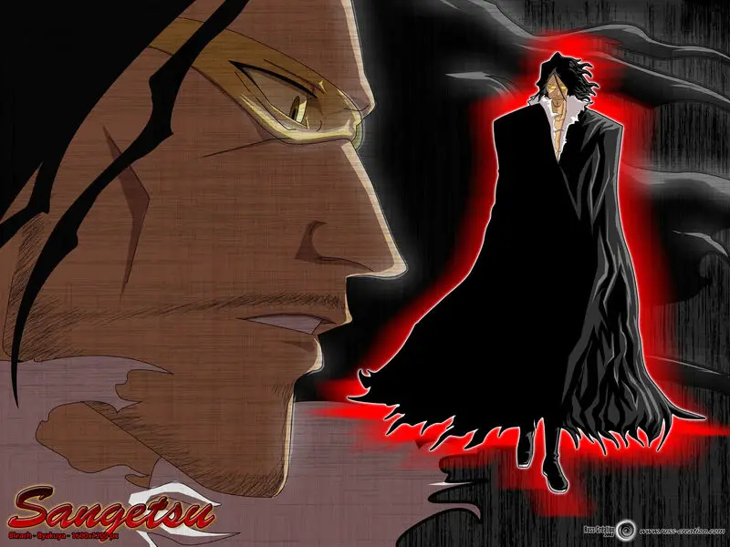 HOT Popular Tensa Zangetsu Bleach Anime Cosplay Costume Black Kimono ...