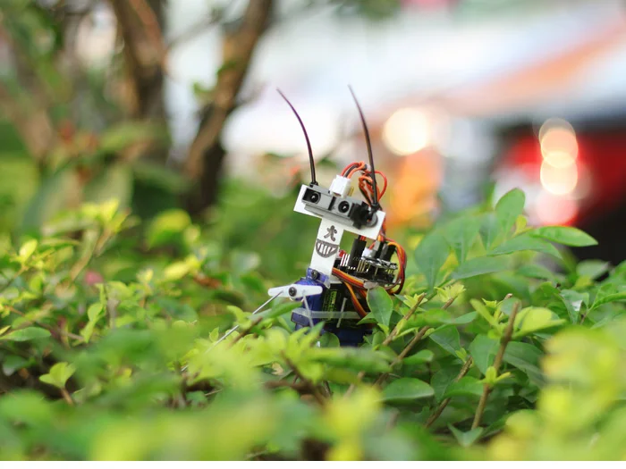 Kit-de-robot-de-insectos.jpg
