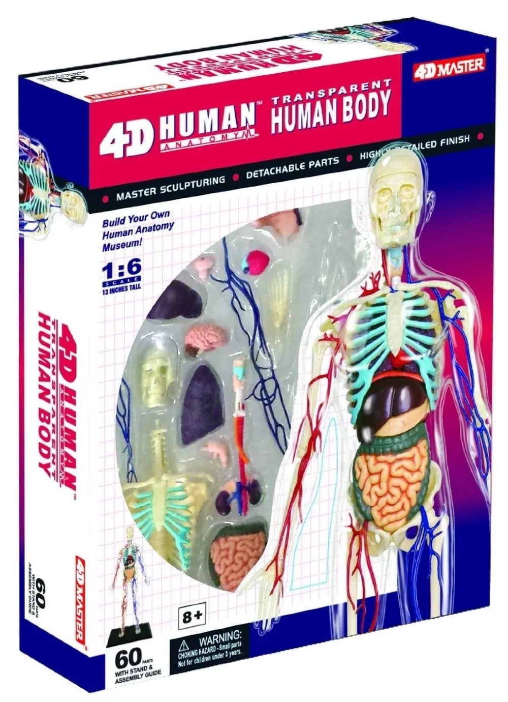 Science & Nature New 4D Puzzle Human Anatomy 3D Model Transparent Full ...
