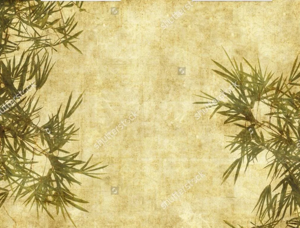 Chinese Paper Texture