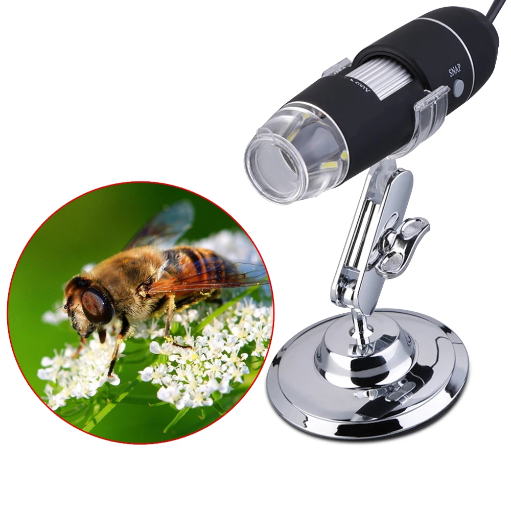 DBPOWER Microscop USB 실용적인 전자 돋보기 500X ~ 1000X 배율 측정 8 디지털 카메라 현미경 내시경 ...