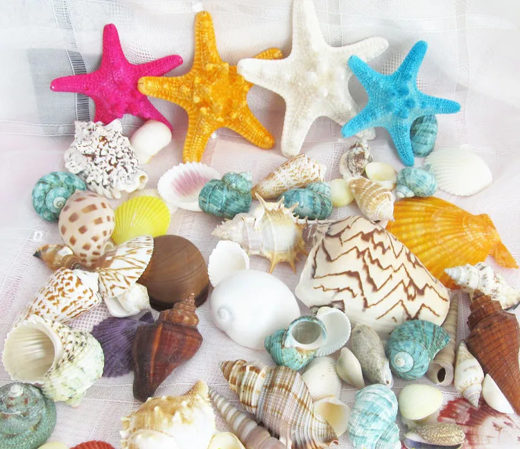 500g/lot Approx Sea Shells Shell Craft Aquarium Beach SeaShells Mixed ...