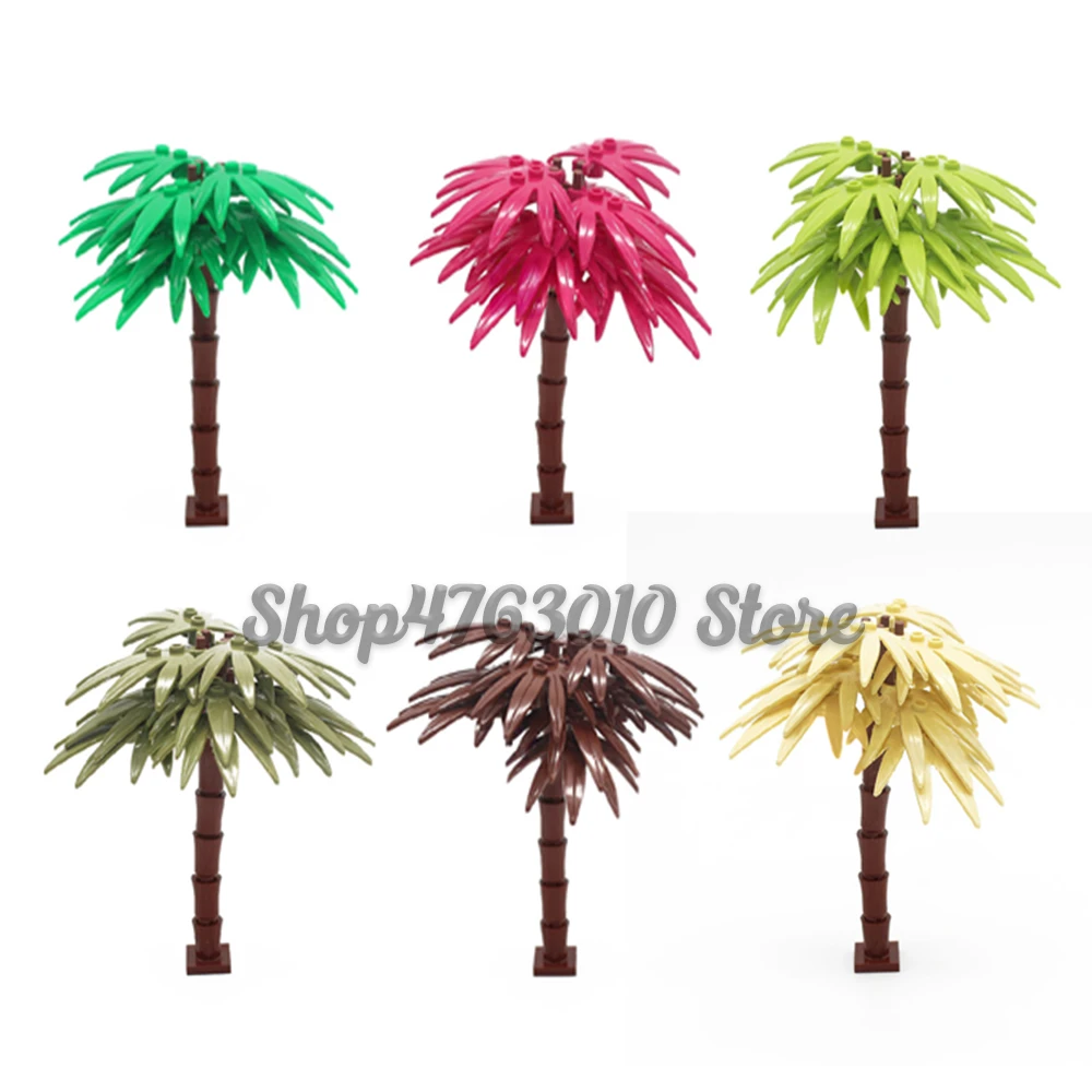 Coconut Palm Tree Parts