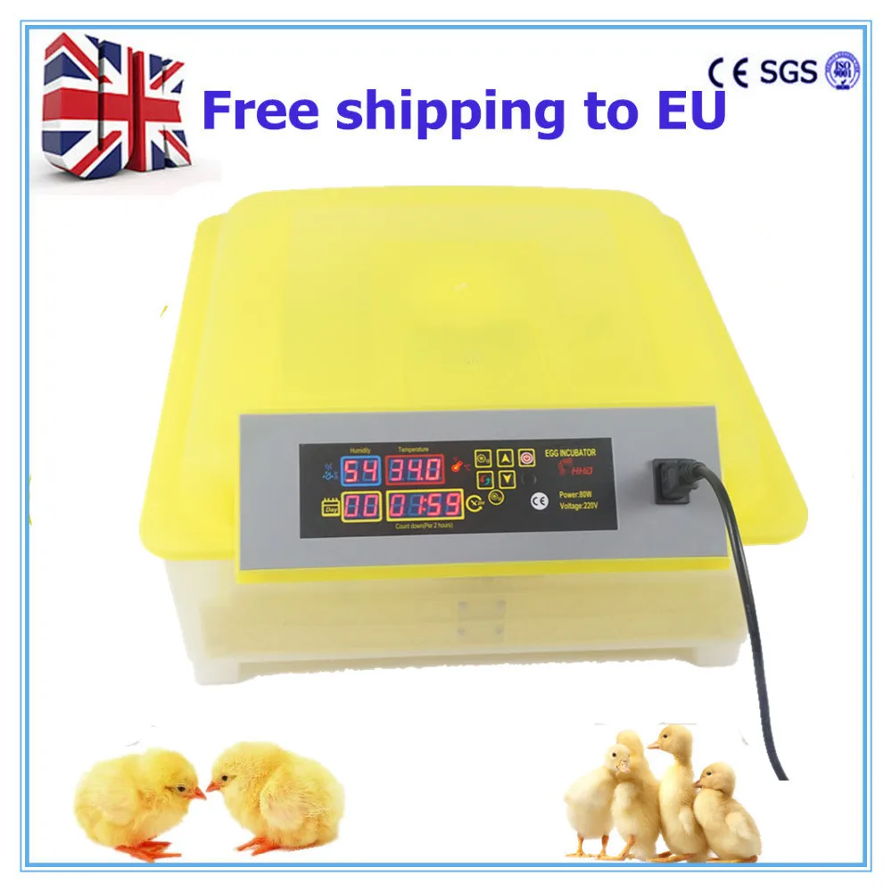 Hot slae full automatic chicken egg incubator 48 eggs incubator for ...
