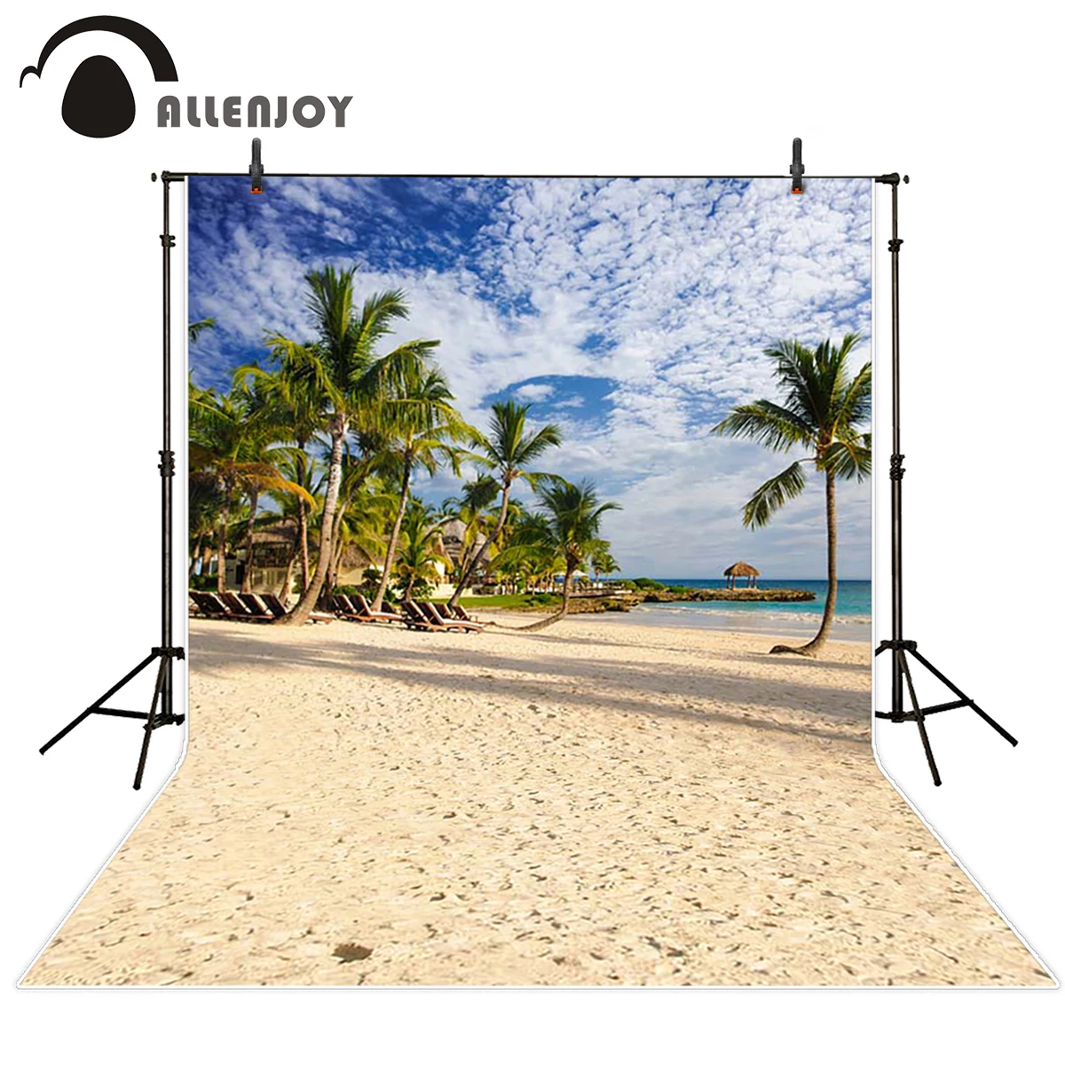 Allenjoy seaside Photo background Coconut tree island summer beach ...