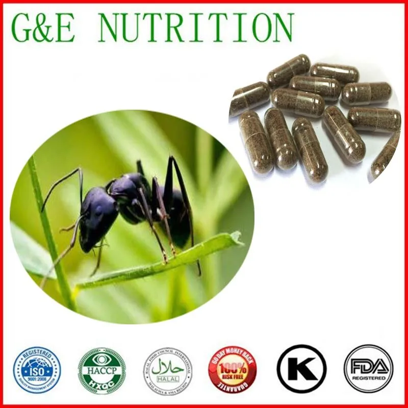 Online Buy Wholesale black ant from China black ant Wholesalers ...