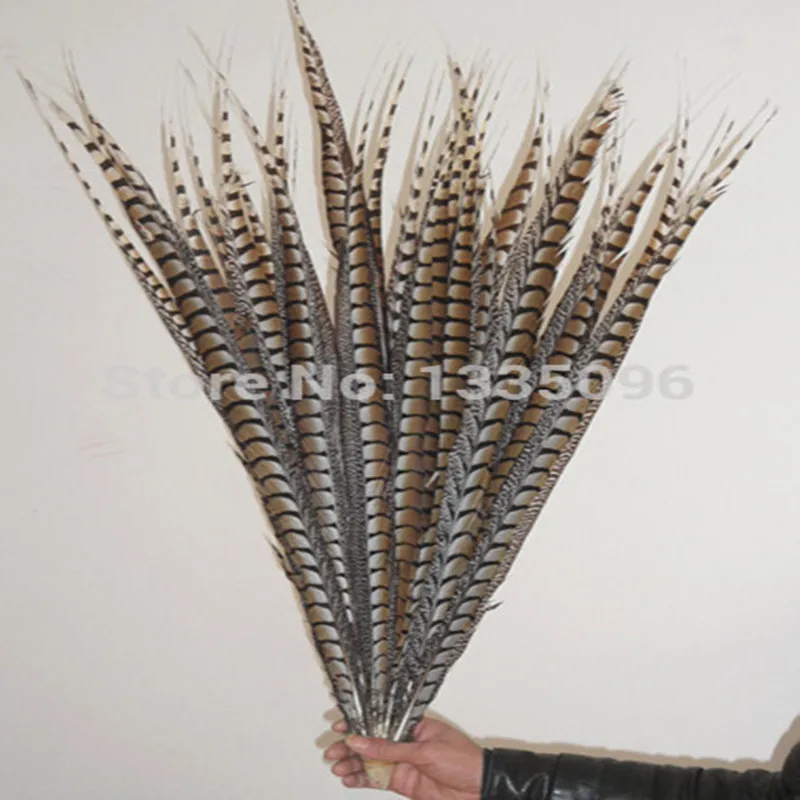 100 stücke 80 90 cm 30 35 zoll natürliche farbe Frau danceing fasan ...