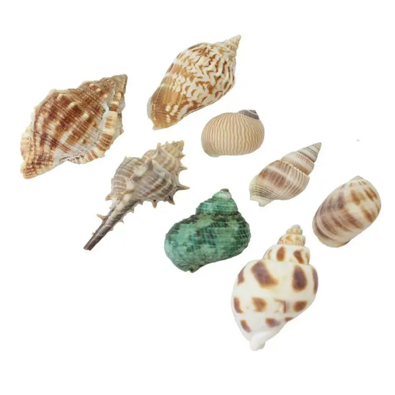 Popular Seashell Color-Buy Cheap Seashell Color lots from China ...