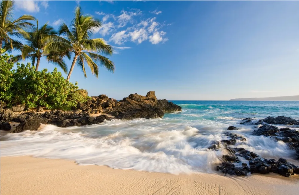 Aliexpress.com: Koop 7x5FT Hawaii Zee Zand Strand Rotsen Coast Lijn ...