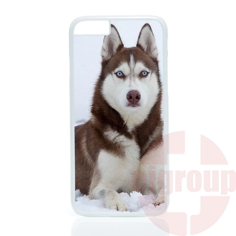 aladdin siberian husky dog Protector Phone Cases For Micromax A107 E311 ...
