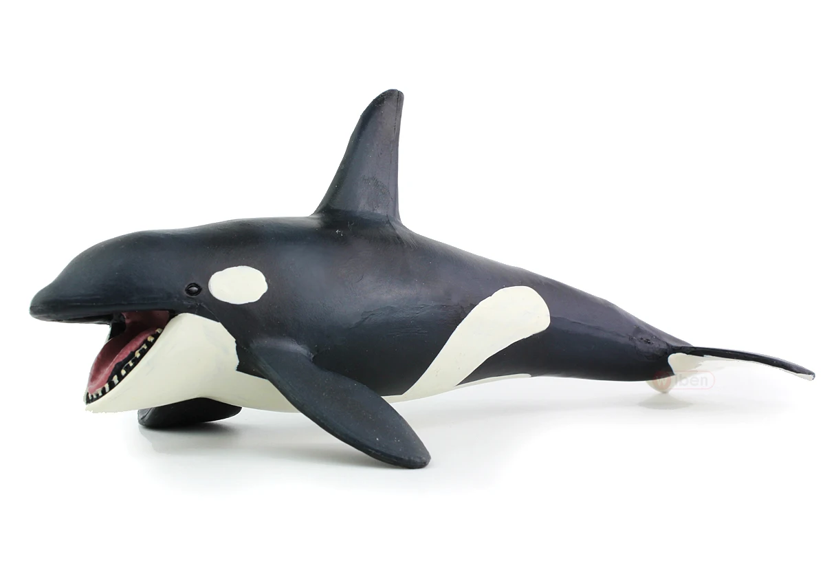 New Model of Marine Biological Killer Whale PVC Plastic Model Toy Child ...