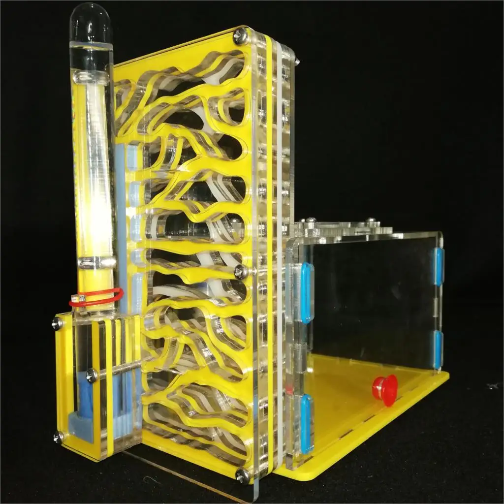 T design DIY with feeding area ant nest ,ant farm acryl, insect ant ...