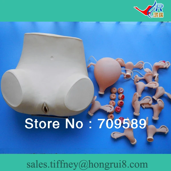 ISO HR/F30S Gynecological Examination simulator, Pelvic examination ...