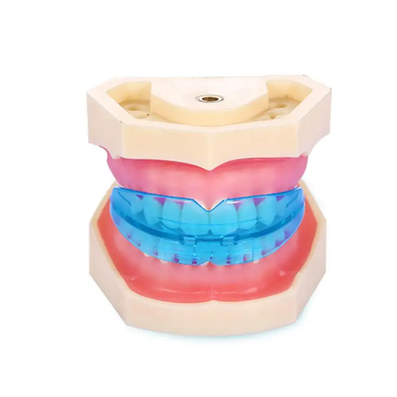 New Professional Dental Tooth Teeth Orthodontic Appliance Trainer ...
