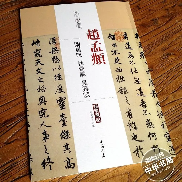 Chinese Calligraphy Book Rubbing Calligraphy From Stone Inscription Shu ...