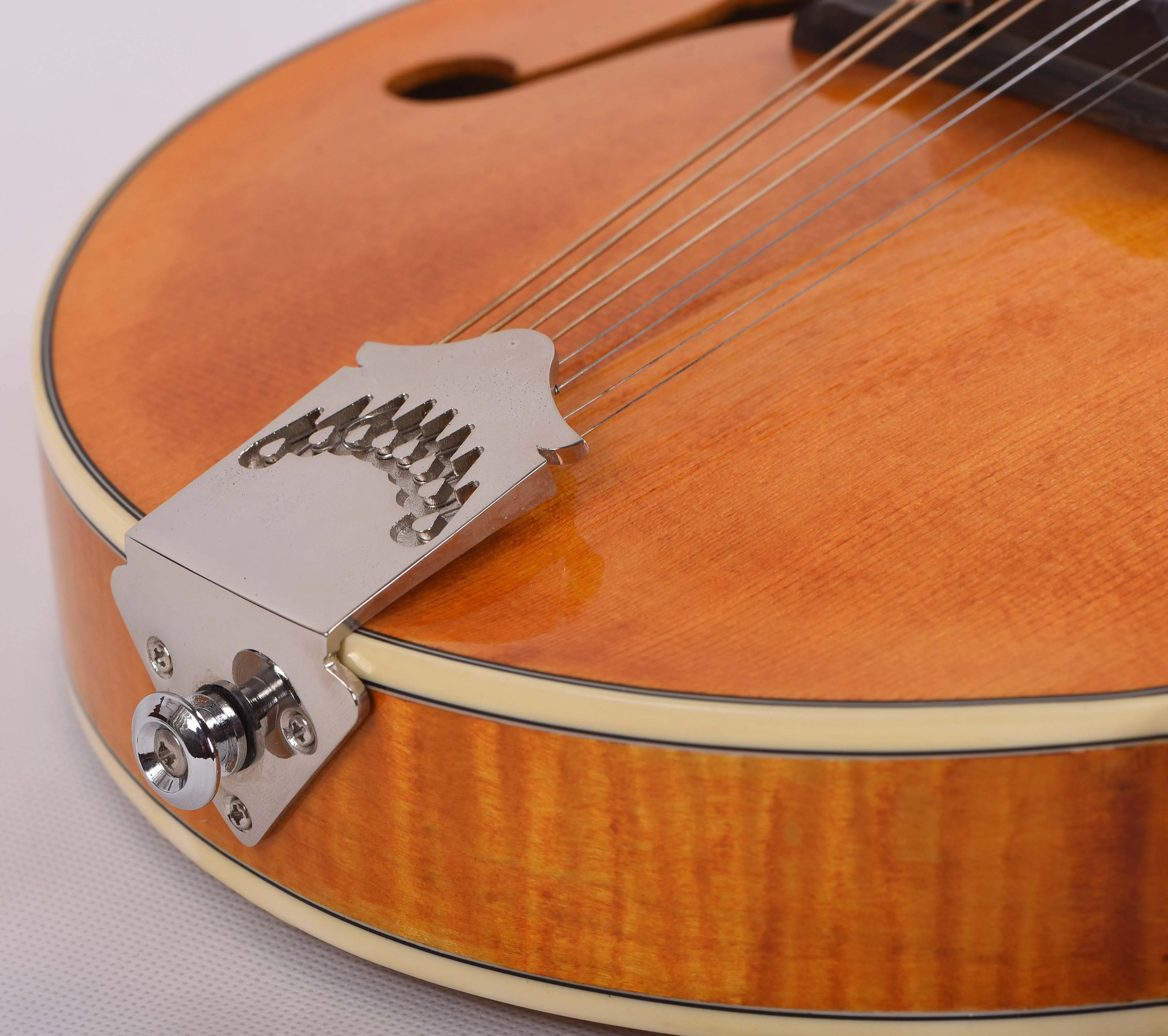 F5 Mandolin Drawing