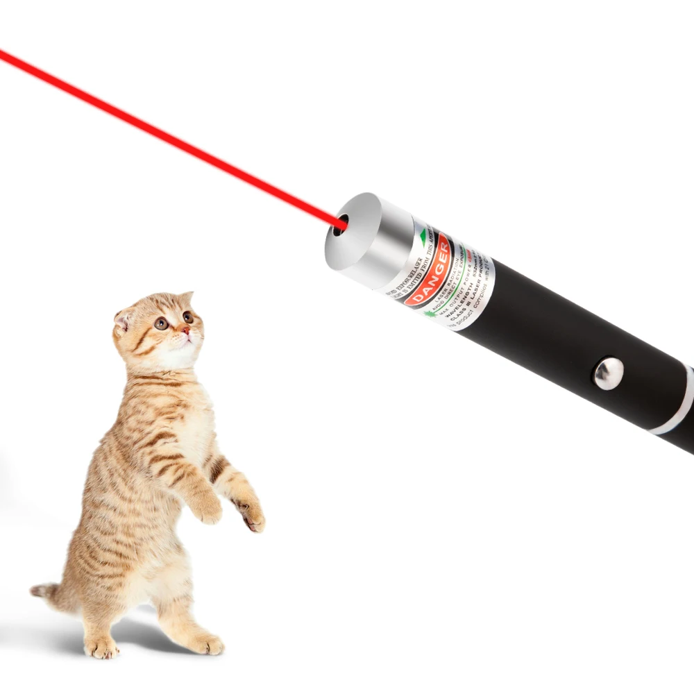 LED Laser Pet Cat Toy 5MW Red Dot Laser Light Toy Laser Sight 530Nm