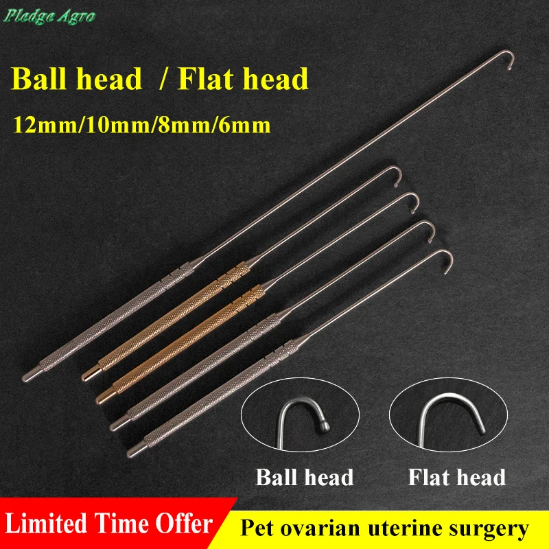 Uterine-Ovary-Ovrian-Hook-Pet-Sterilization-Veterinarian-Veterinaria ...