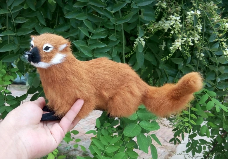 About 34x12cm Simulation Yellow-bellied Weasel Model, Polyethylene&furs ...
