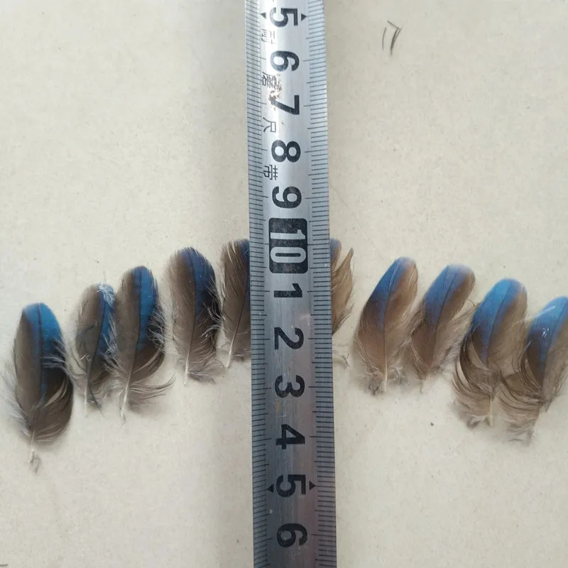 Wholesale-10-natural-kingfisher-feathers-2-3-cm-DIY-jewelry-headdress ...