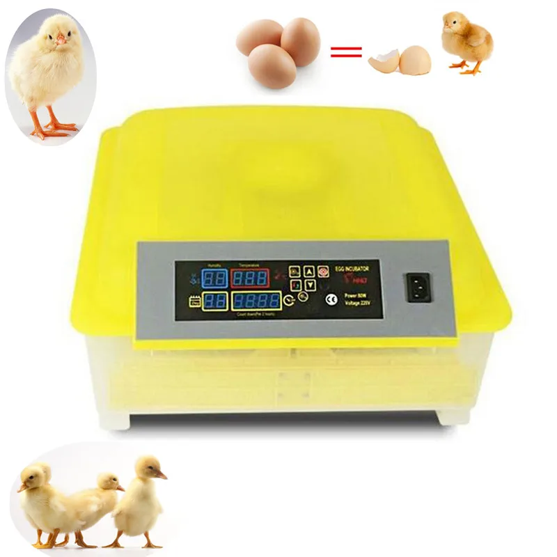 New Mini Egg Incubator 48PCS Eggs Automatic egg turning Chicken Hatcher ...