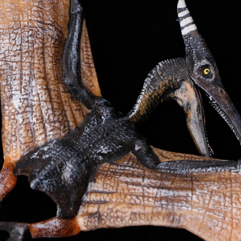 Pterodactyl Dinosaur Action Figure Toys Hand Puppet Kids Educational ...