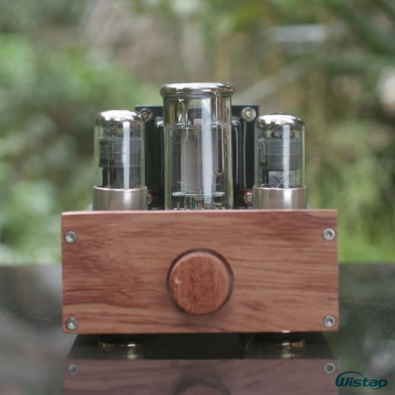 IWISTAO 1pc Mono Tube Amplifier FU50 Power Stage Class A Signal ended ...