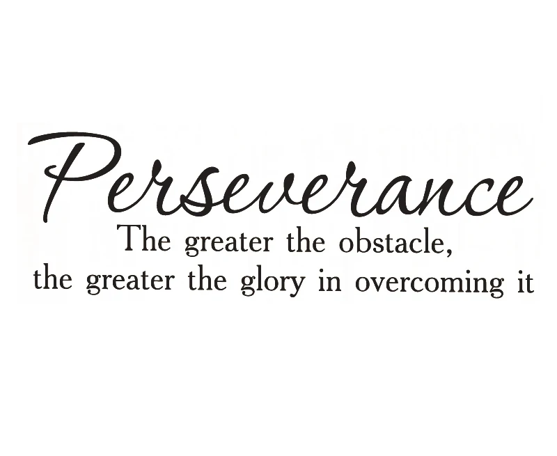 Wall Decal Sticker Quote Vinyl Art Lettering Perseverance Overcome ...