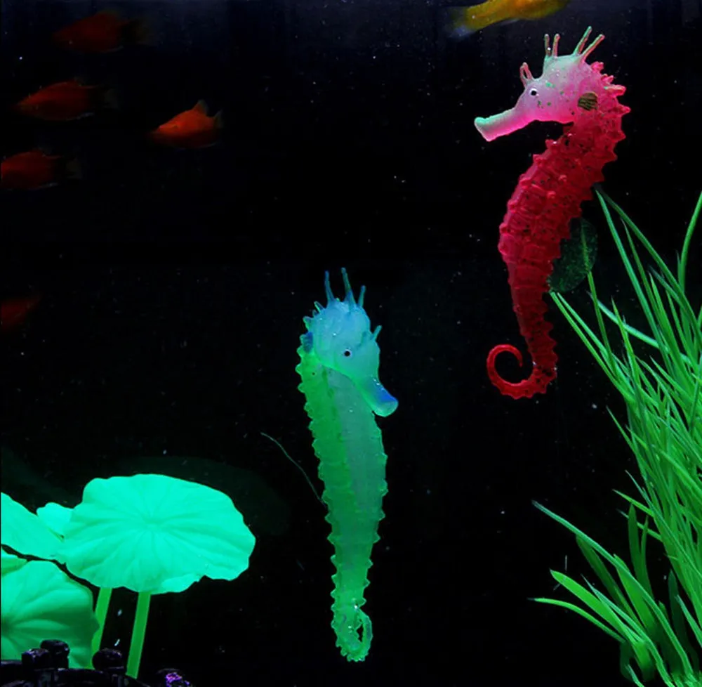 Seahorse Aquarium Kit