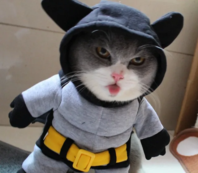 Cat Batman Costume