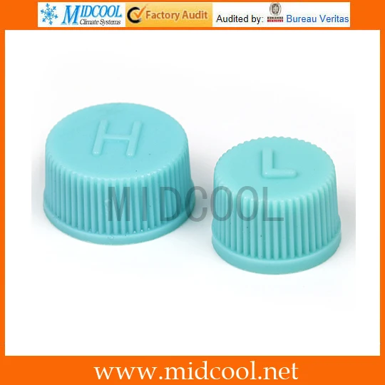 Universal A/C R134a R12 High Low Side ( Pressure ) Valve Core / Service ...