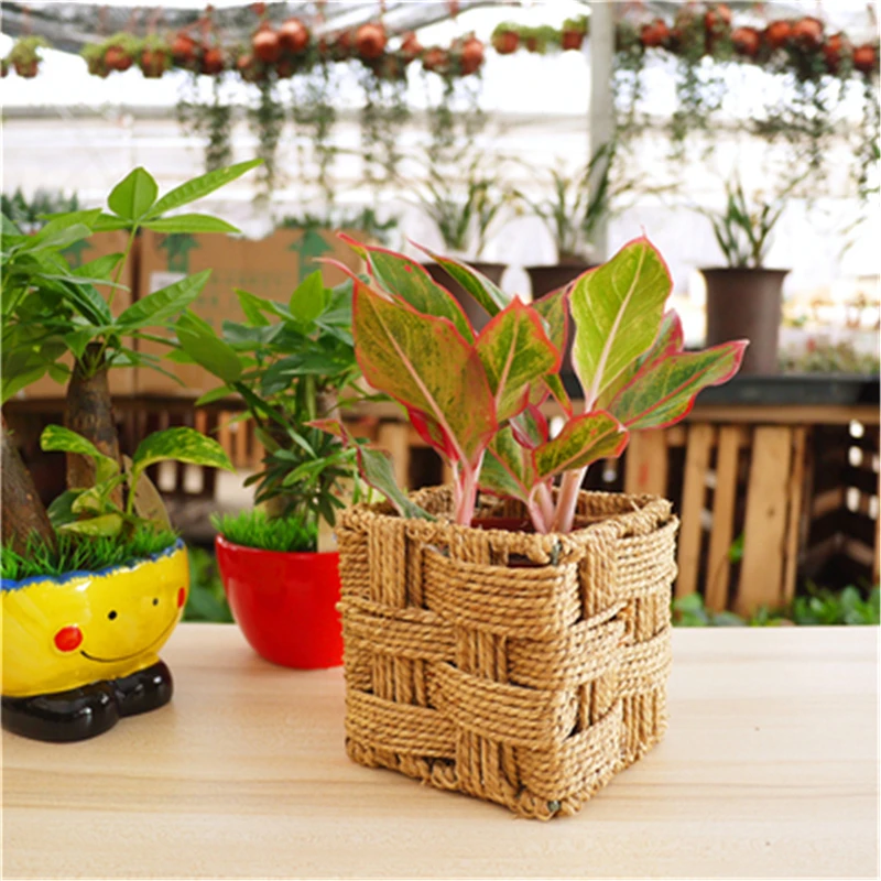 Hot selling straw weaves decor garden supplies flower pot planter box ...