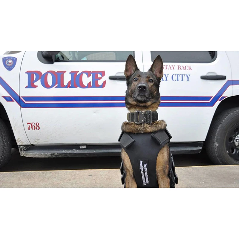 DIY Diamond Embroidery,5D Diamond Painting "Police Dog Friend" Animal ...