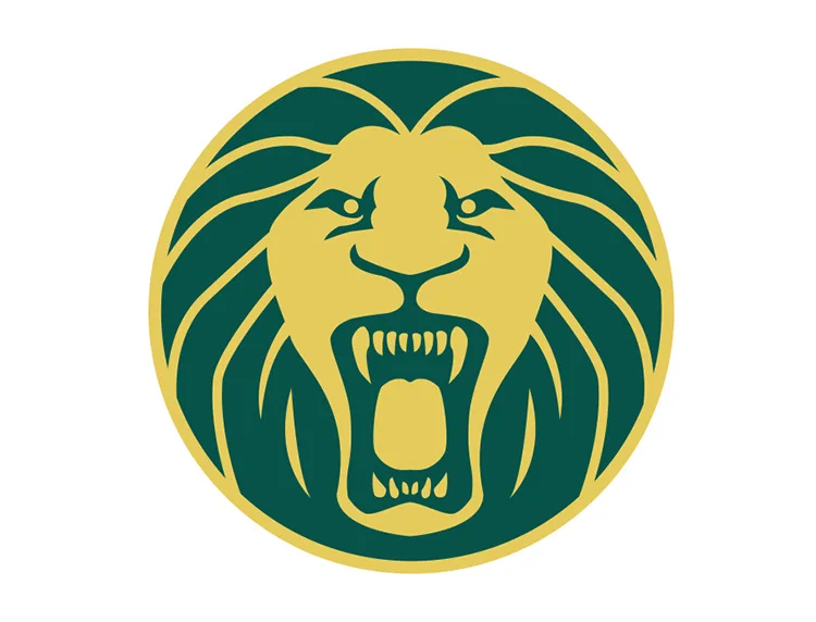 WORLD CUP Cameroon NATIONAL FOOTBALL TEAM LOGO LIGHT FOR CHEERING ...