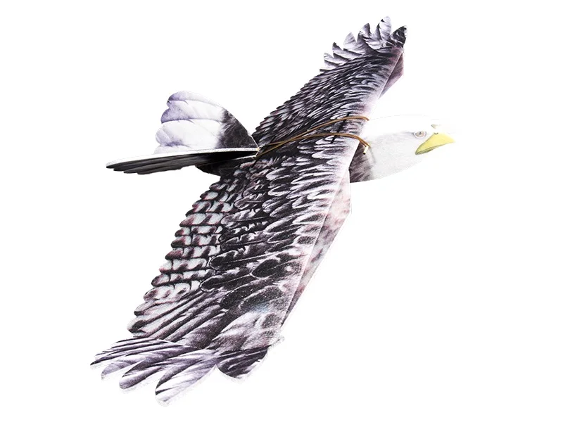 RC Plane EPP Airplane Model Mini Eagle RC Wingspan 1200mm Eagle EPP ...