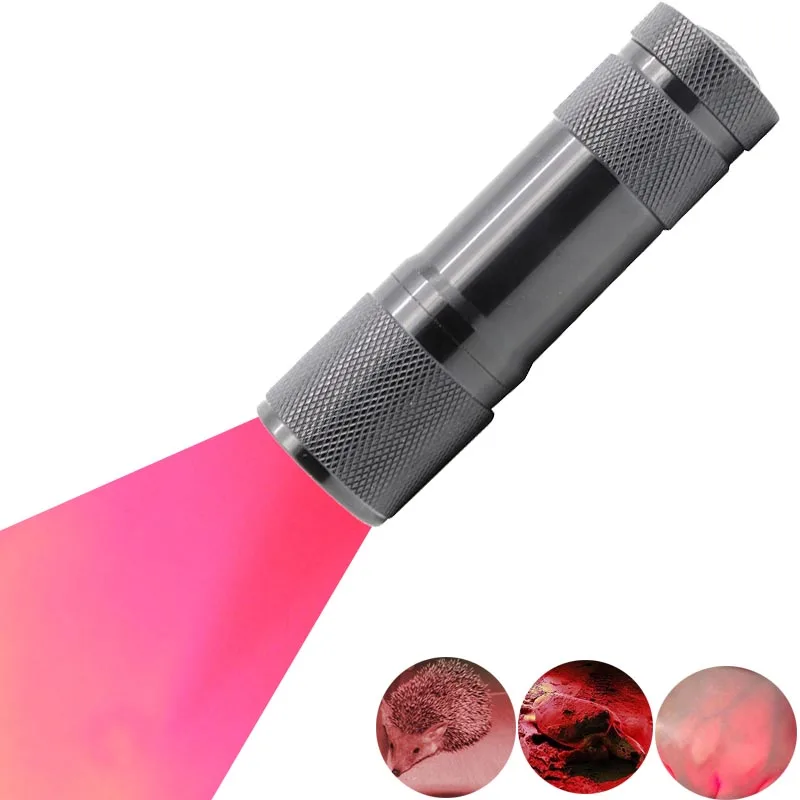 Portable Pocket Red Light Flashlight with 9 LEDs for Watching Iguanas ...
