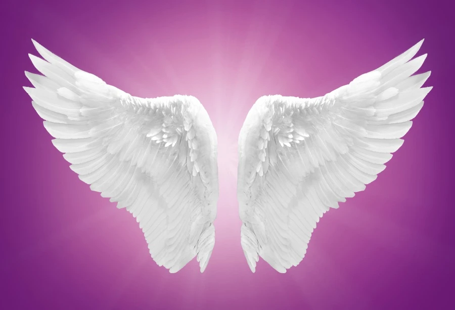 Beautiful Angel Wings Wallpaper