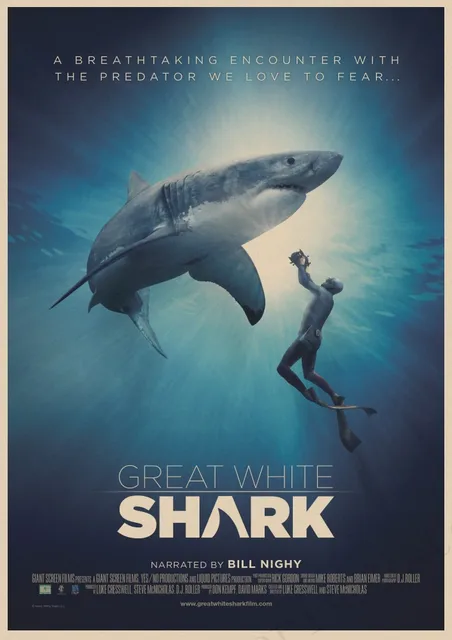 Shark Poster